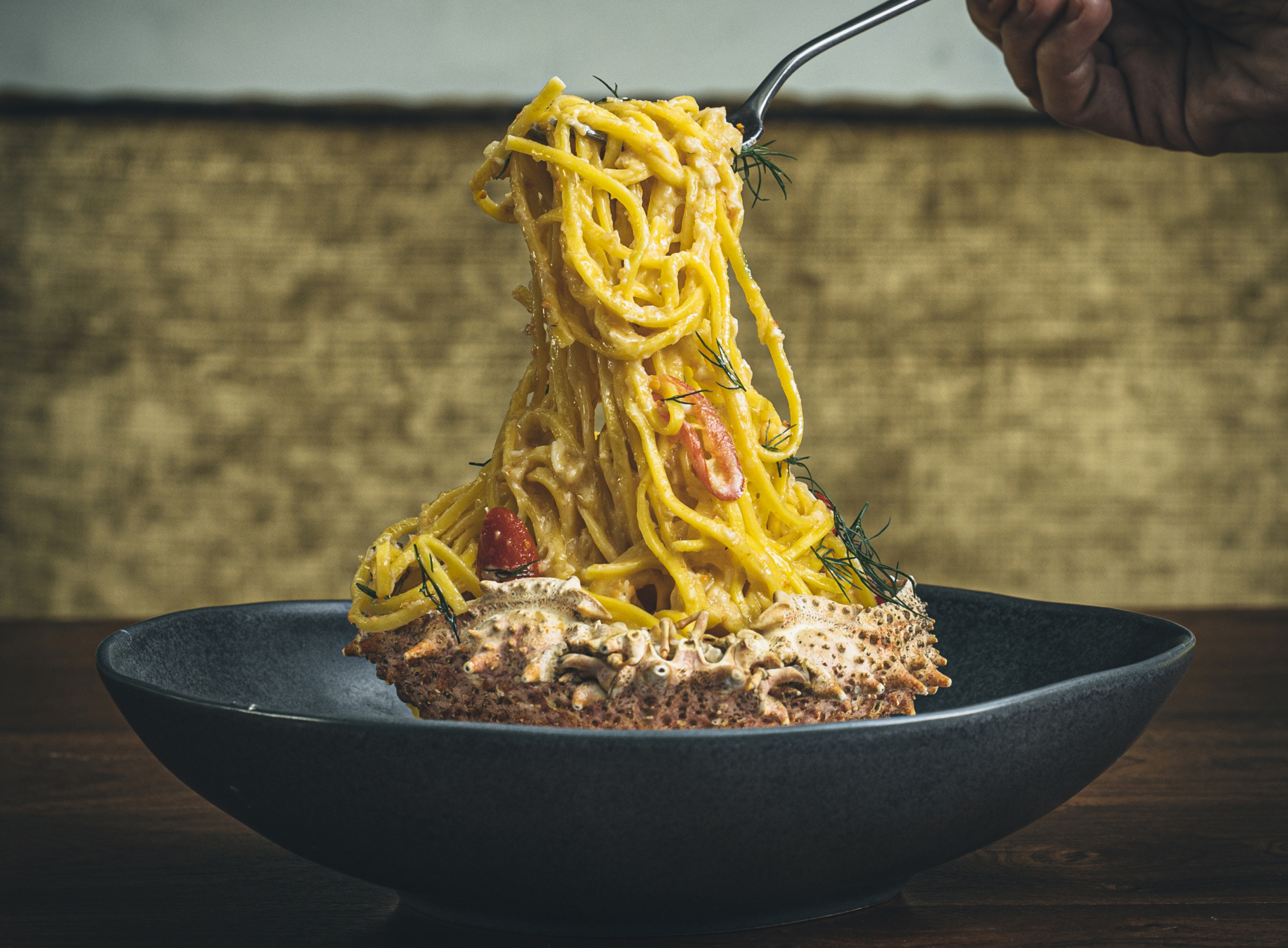 Norma - Preneur World