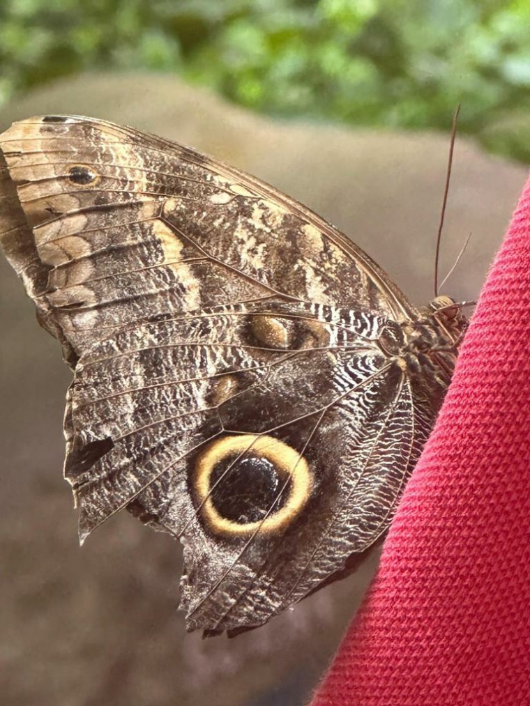 Top Trumps at Whipsnade Zoo - Preneur World