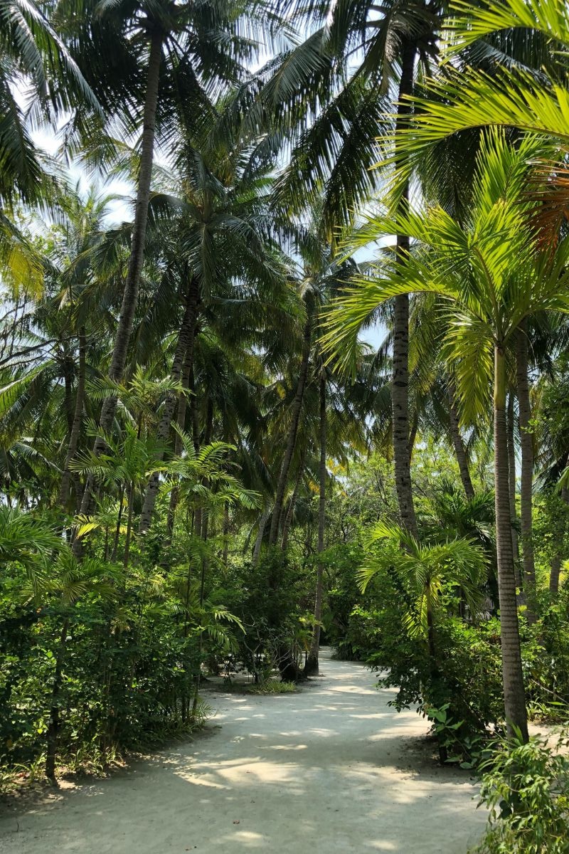 Maldives Reimagined: Crafting Time-Rich Journeys for the Truly ...